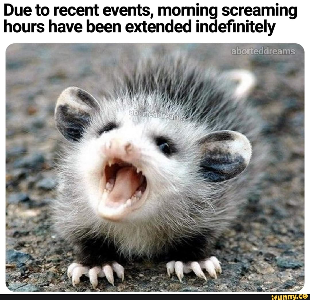 Due to recent events, morning screaming hours have been extended ...