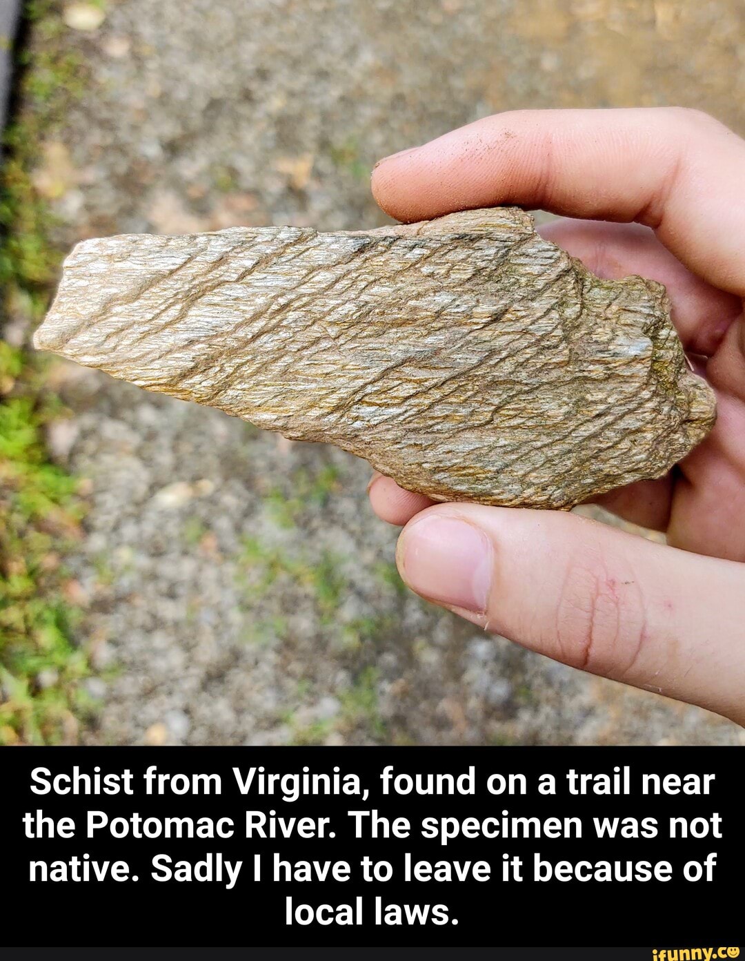 Schist memes. Best Collection of funny Schist pictures on iFunny