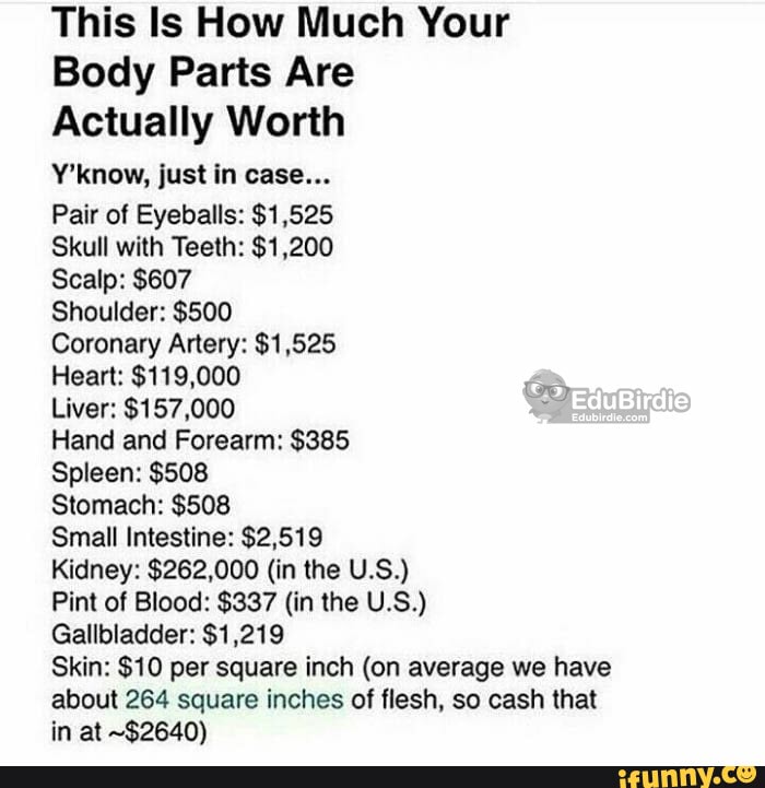 Just in case you want to go shopping... - This Is How Much Your Body ...
