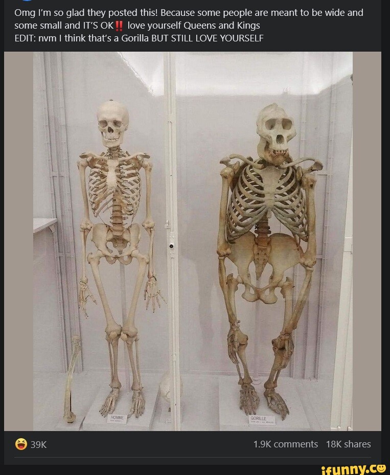 Yall meet Scream big cousin "Holler" PITT - iFunny