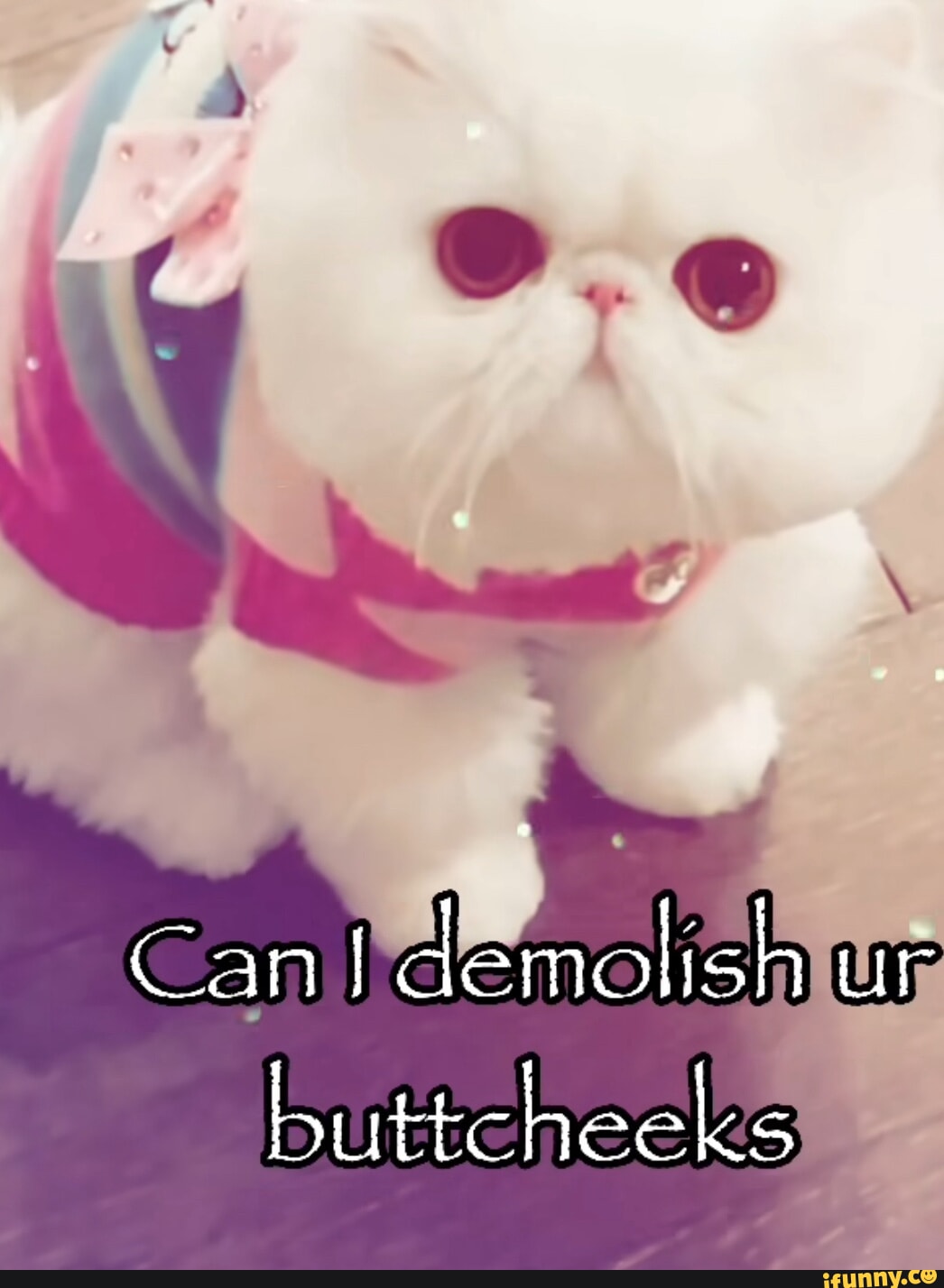 Buttcheeks memes. Best Collection of funny Buttcheeks pictures on iFunny