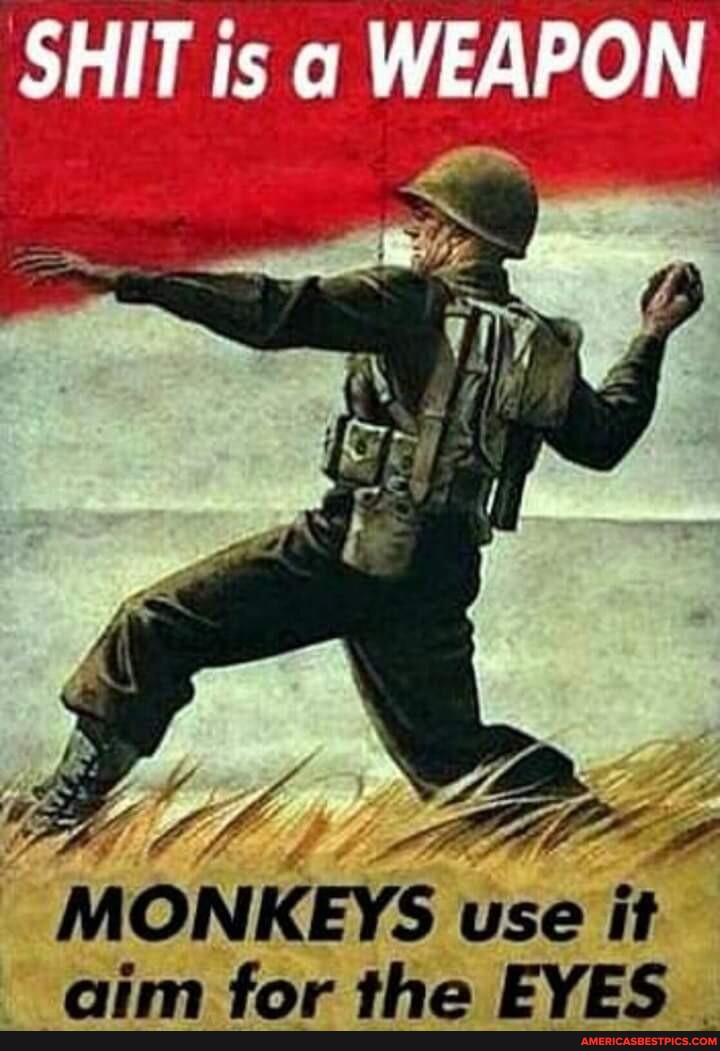 SHIT is WEAPON if MONKEYS use it aim for the EYES - America’s best pics ...