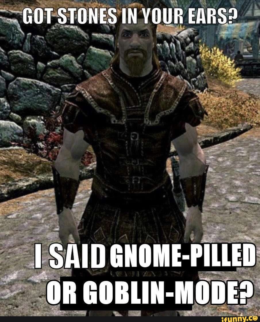 GOT STONES IN YOUR EARS? I SAID GNOME-PILLED OR GOBLIN-MODE? - iFunny