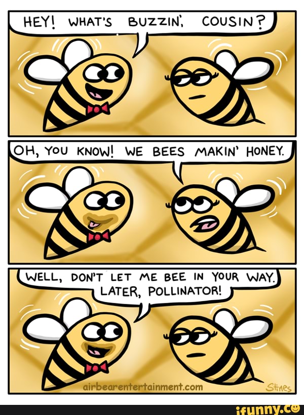 Buzzin memes. Best Collection of funny Buzzin pictures on iFunny