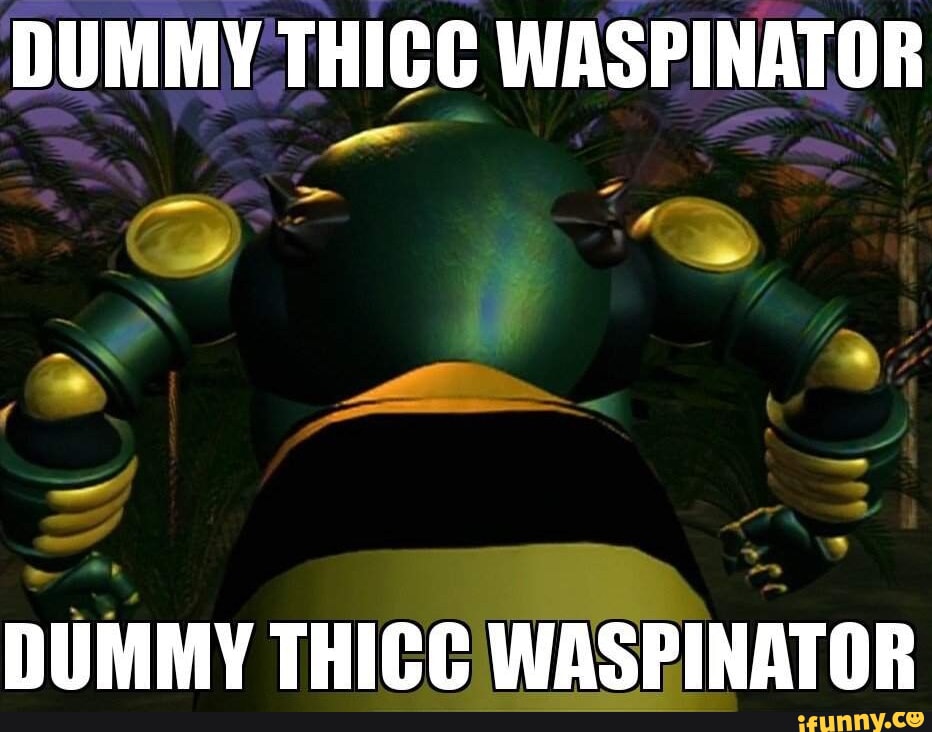 DUMMY TH WASPINATOR DUMMY THICC WASP - iFunny