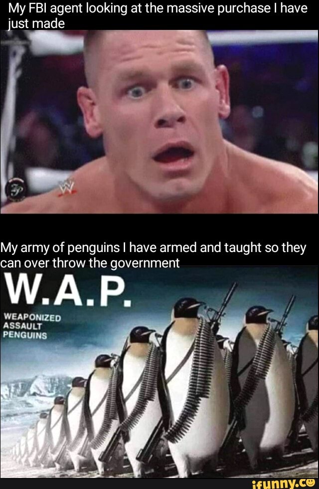 Pengui memes. Best Collection of funny Pengui pictures on iFunny