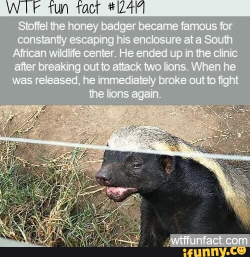 Enclosure memes. Best Collection of funny Enclosure pictures on iFunny