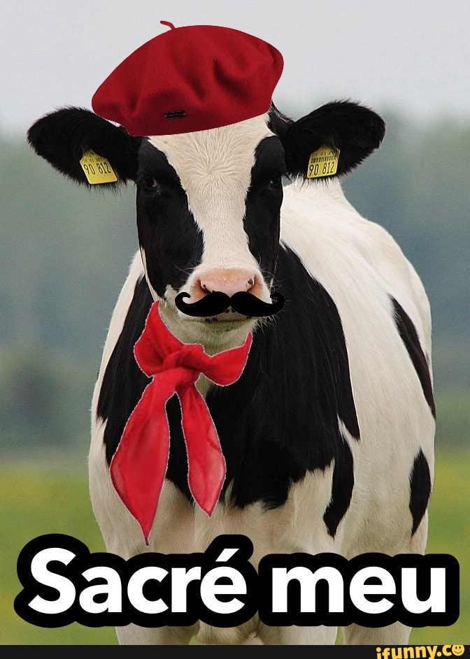 Sacrebleu memes. Best Collection of funny Sacrebleu pictures on iFunny