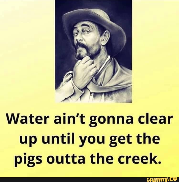 Water ain't gonna clear up until you get the pigs outta the creek. - iFunny
