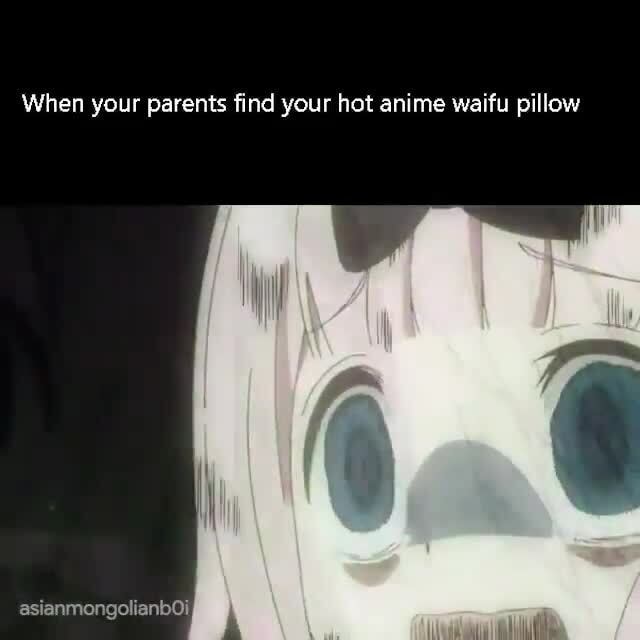 Waifu Pillow Meme