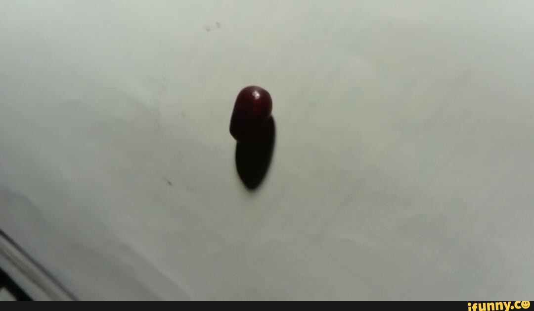 Benos memes. Best Collection of funny Benos pictures on iFunny