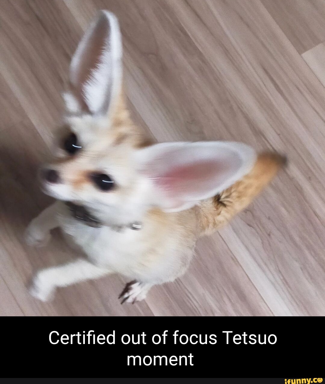 Tetsuo Memes