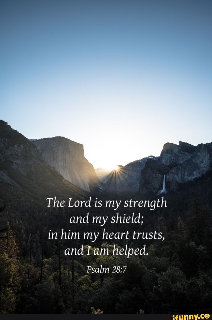 The Lord is my strength and my shield; in him my heart trusts, and Tam ...