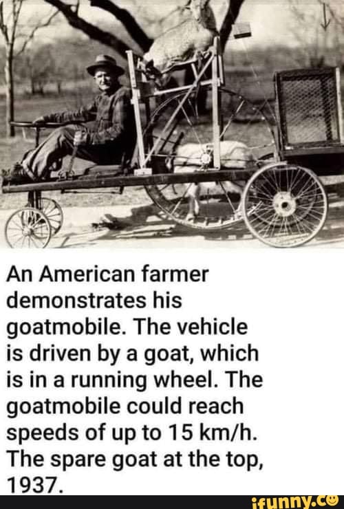 An American farmer demonstrates his goatmobile. The vehicle is driven ...