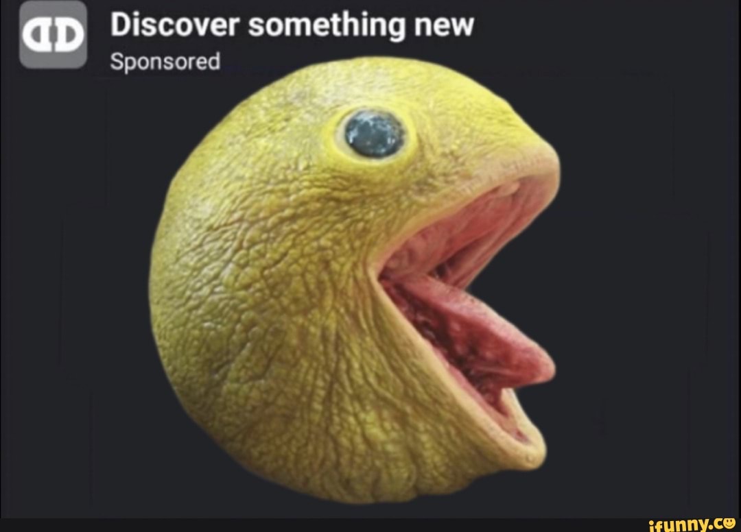 Discoversomethingnew memes. Best Collection of funny ...