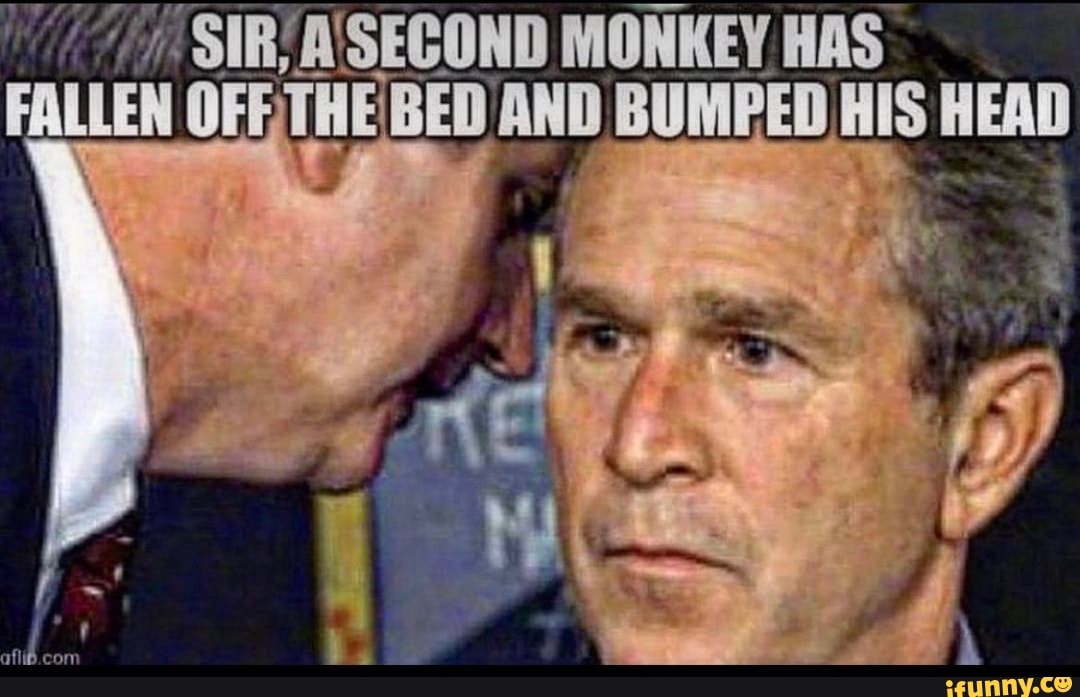 SECOND MONKEY. HAS FALLEN OFF: THE BED AND BUMPED HIS HEAD - iFunny