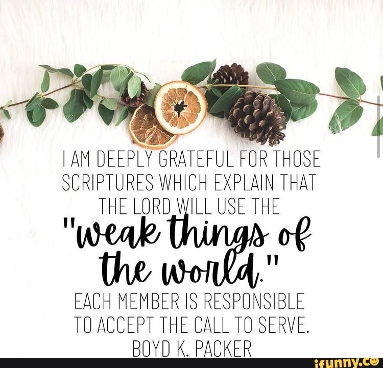 I AM DEEPLY GRATEFUL FOR THOSE SCRIPTURES WHICH EXPLAIN THAT THE LORD ...