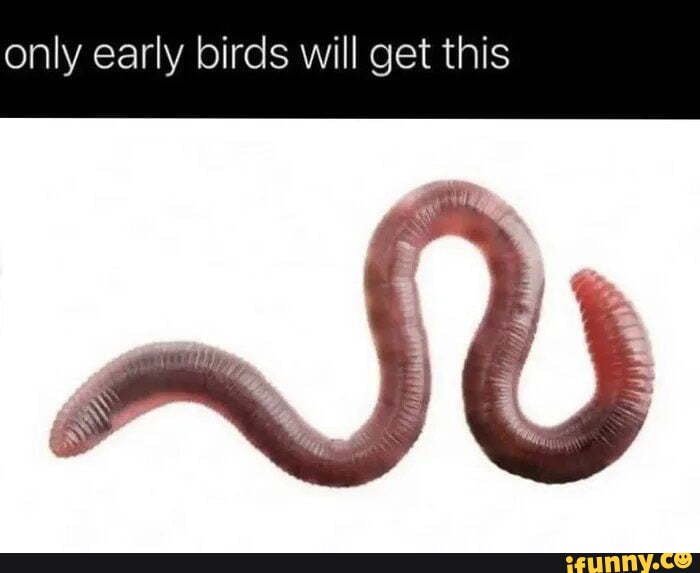 Common_earthworm memes. Best Collection of funny Common_earthworm ...