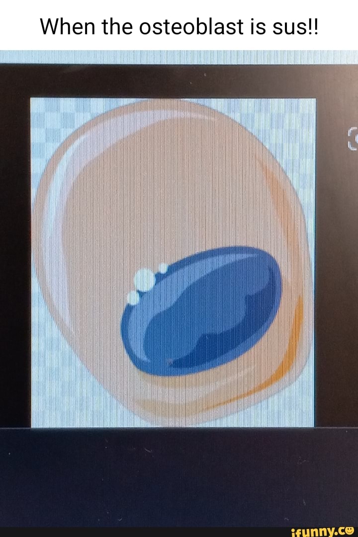 Osteoblast memes. Best Collection of funny Osteoblast pictures on iFunny