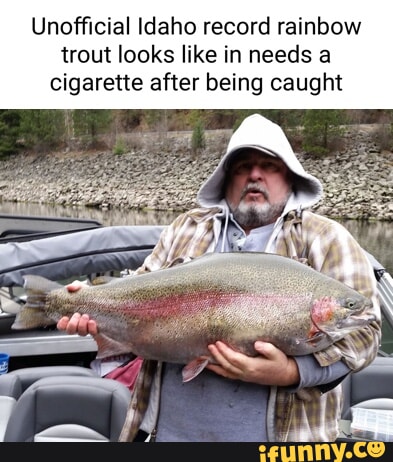 Trout memes. Best Collection of funny Trout pictures on iFunny