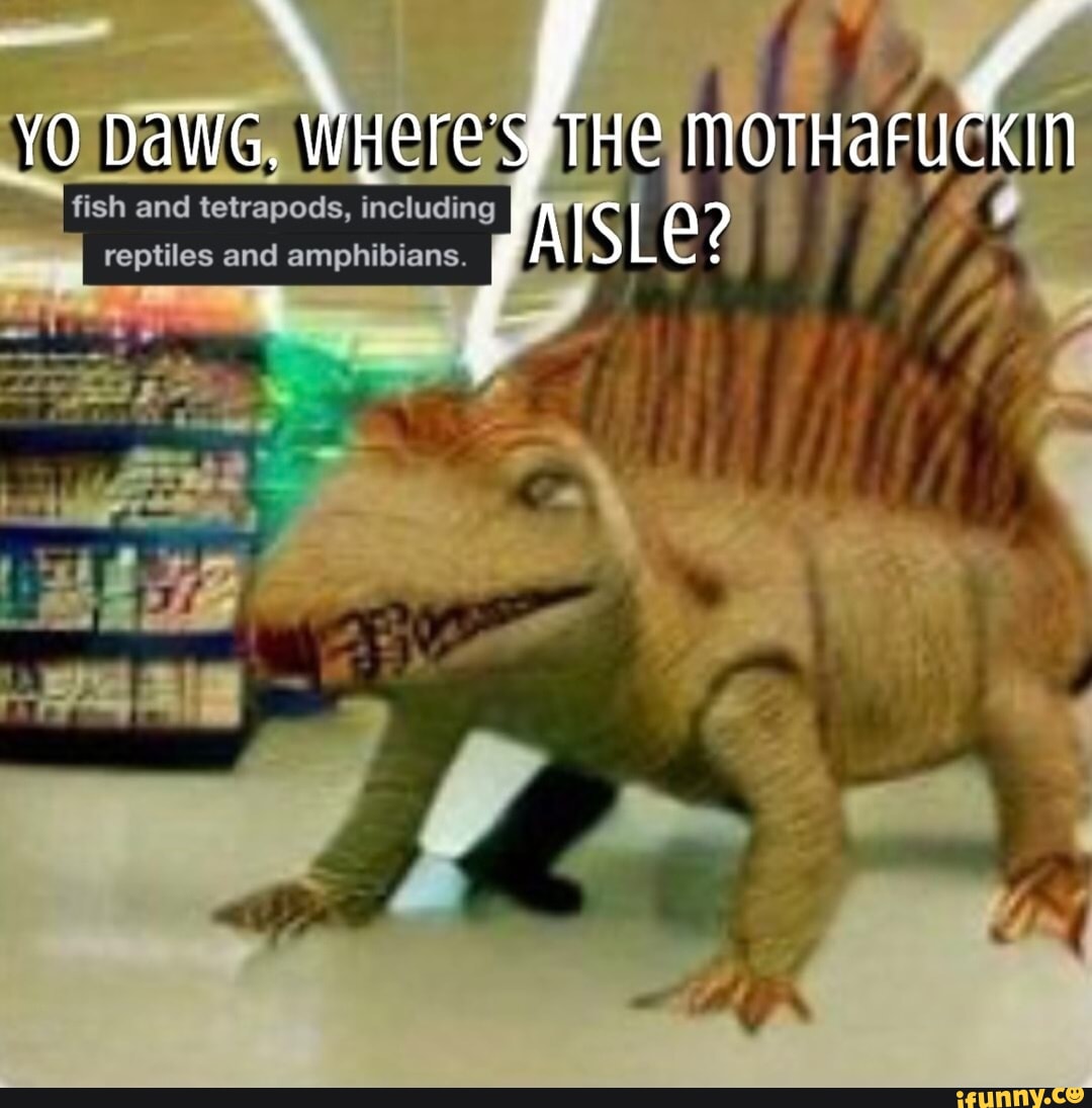 Isle memes. Best Collection of funny Isle pictures on iFunny