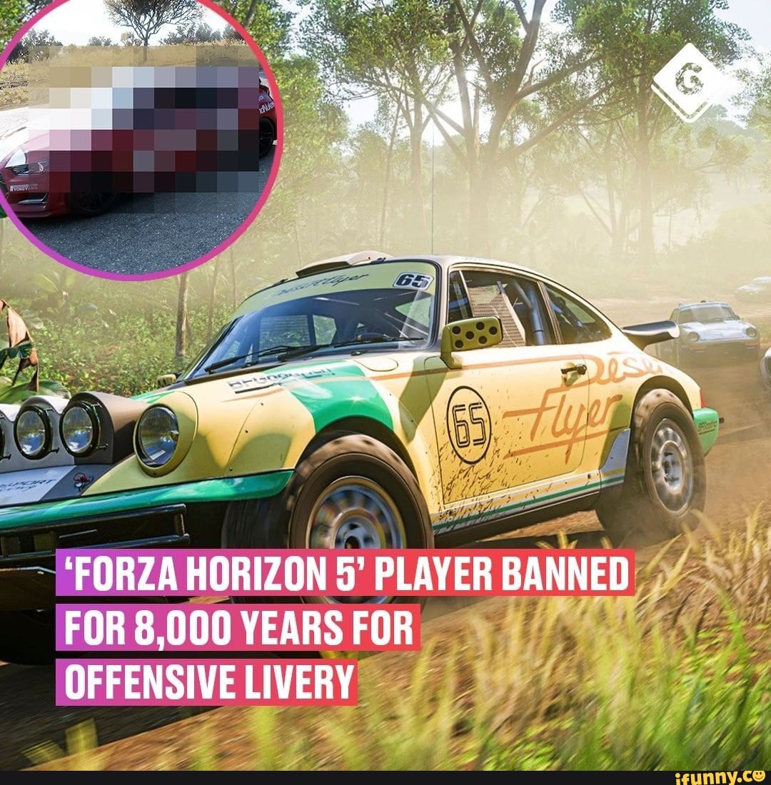 'FORZA HORIZON 5' PLAYER BANNED FOR 8,000 YEARS FOR OFFENSIVE LIVERY ...