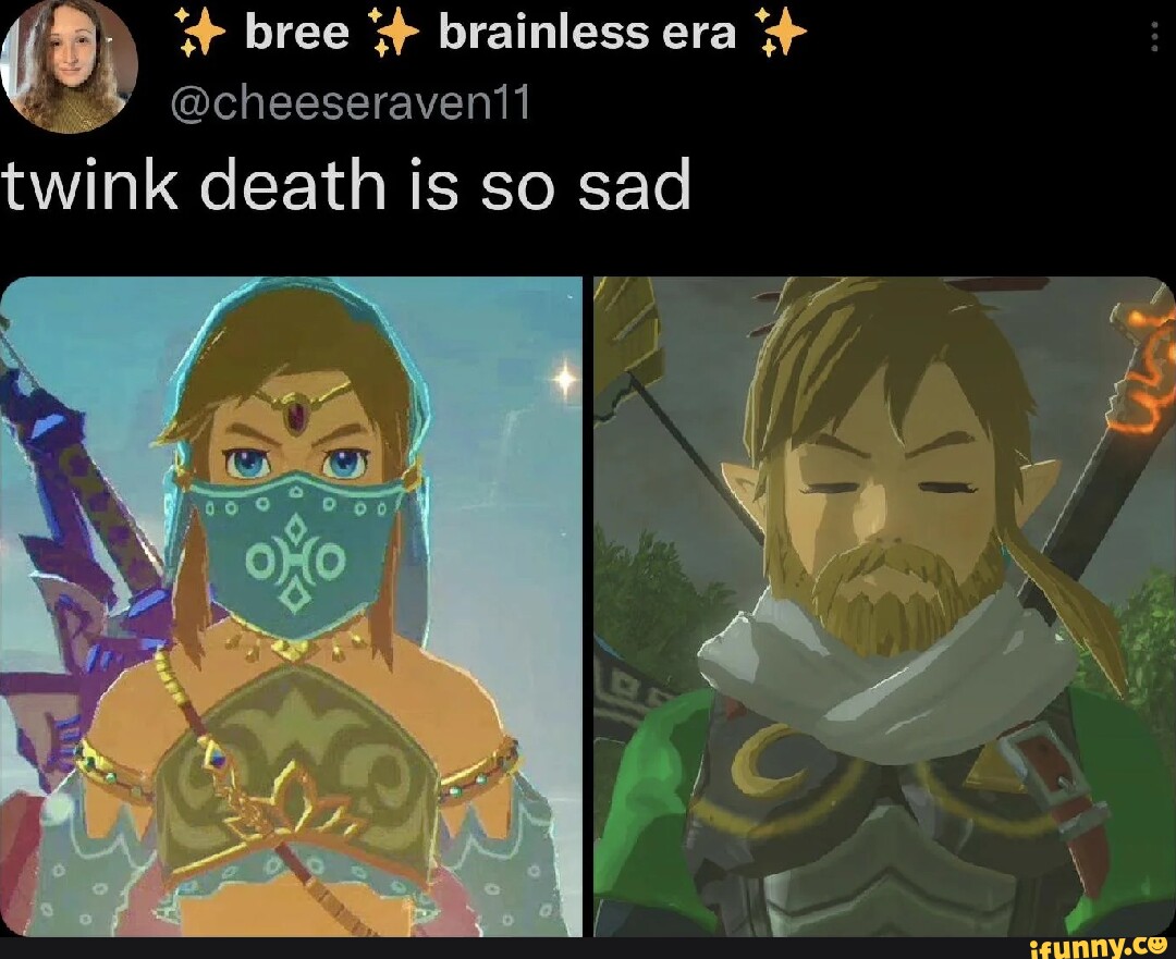 Bree brainless era @cheeseraventi twink death is so sad - iFunny