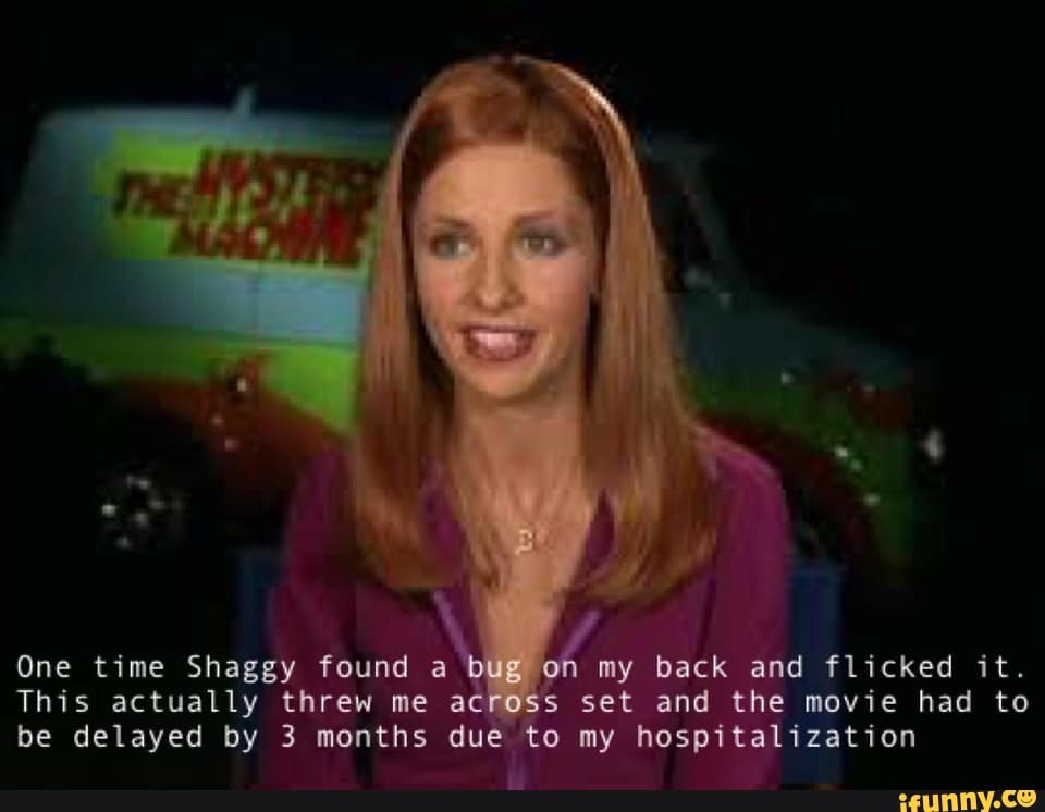 Shaggy blanco 100 percento - One time Shaggy found a bug on my back and ...