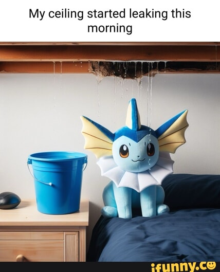 Leaky Ceiling Meme | Shelly Lighting