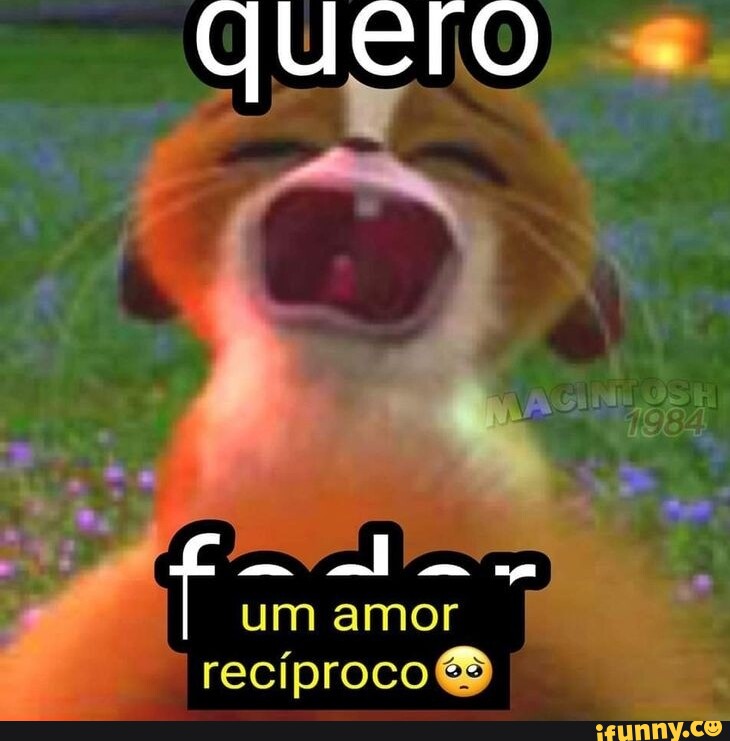 Um amor recíproco - iFunny Brazil