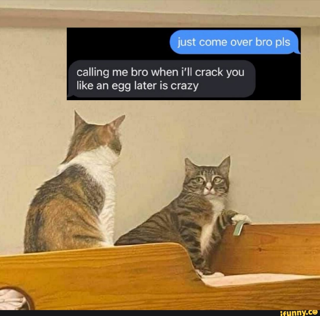 Just come over bro pls calling me bro when i'll crack you like an egg ...