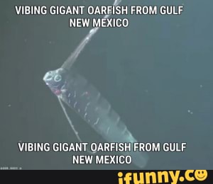 Oarfish memes. Best Collection of funny Oarfish pictures on iFunny