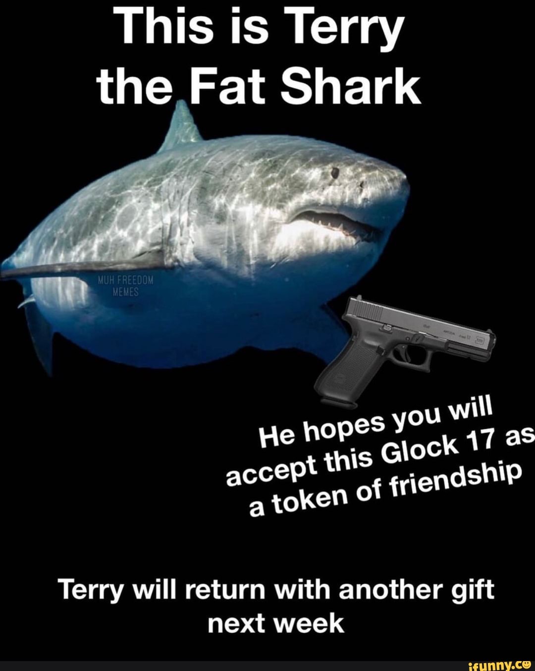 This is Terry the Fat Shark He hopes ck as Terry will return with ...