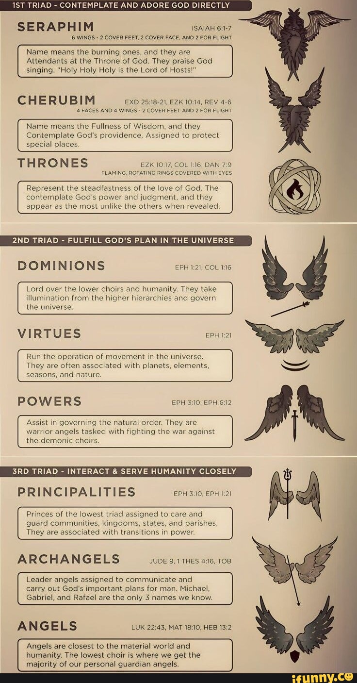 Triad memes. Best Collection of funny Triad pictures on iFunny