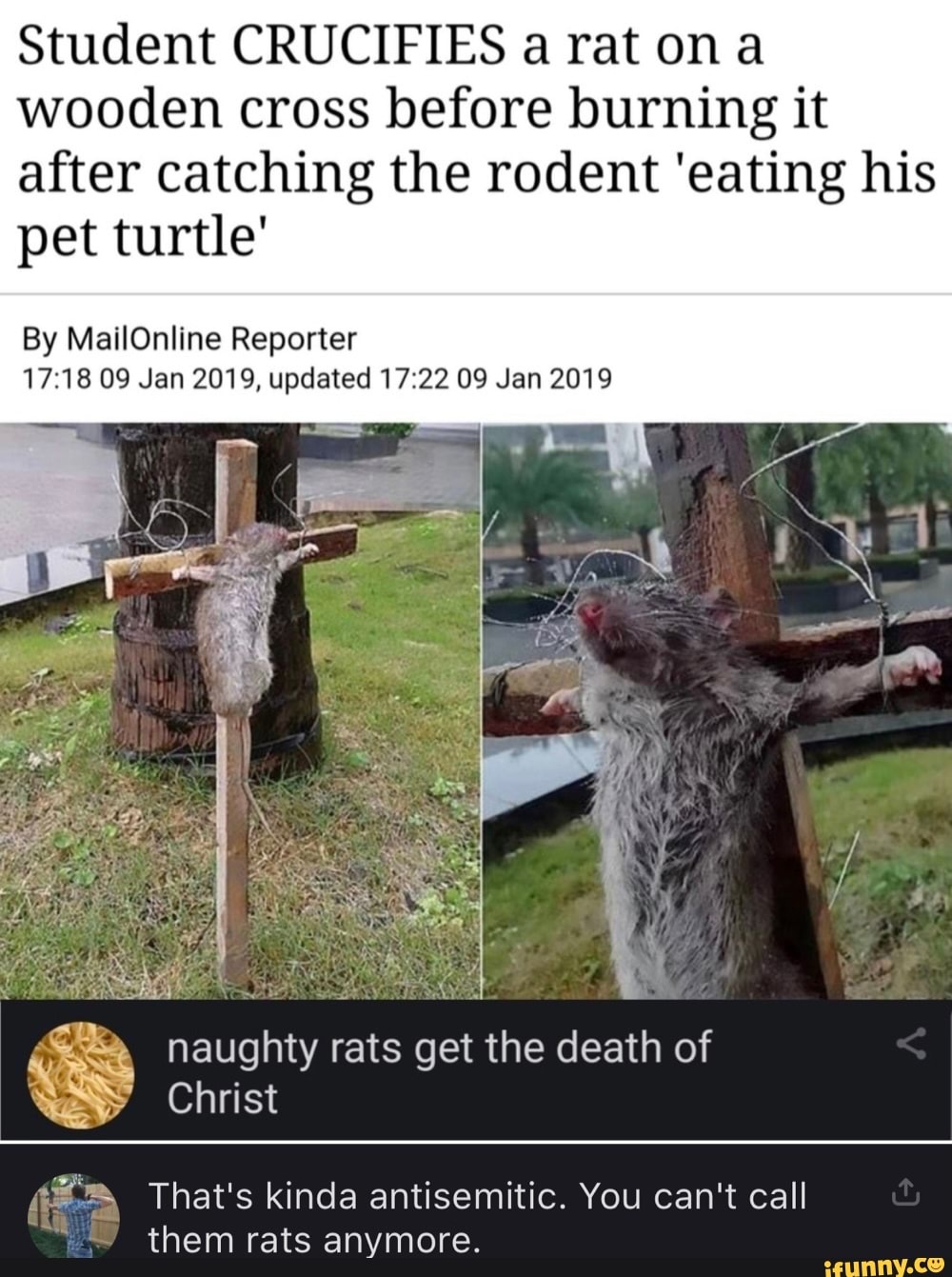 Student CRUCIFIES a rat on wooden cross before burning it after ...