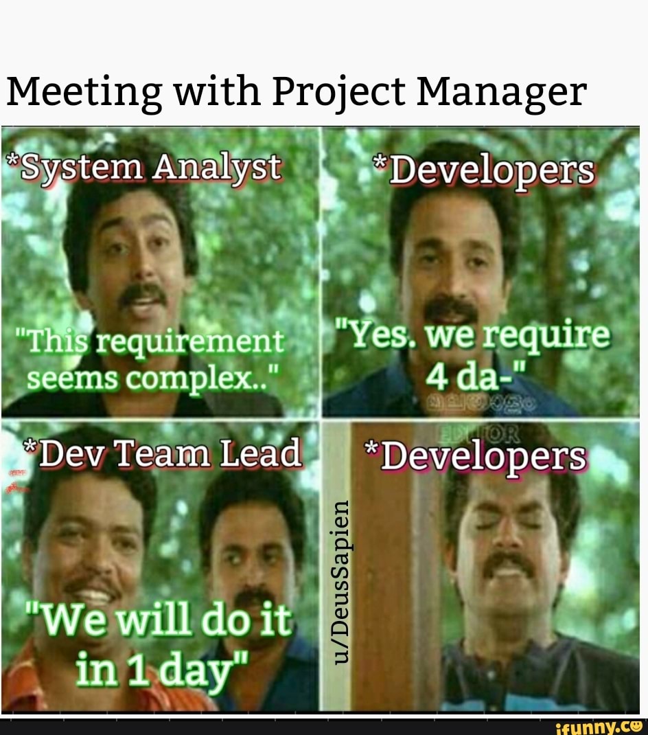 Meeting with Project Manager "System Analyst *Developers This ...