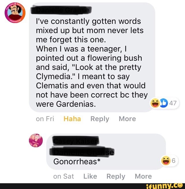 Clematis memes. Best Collection of funny Clematis pictures on iFunny