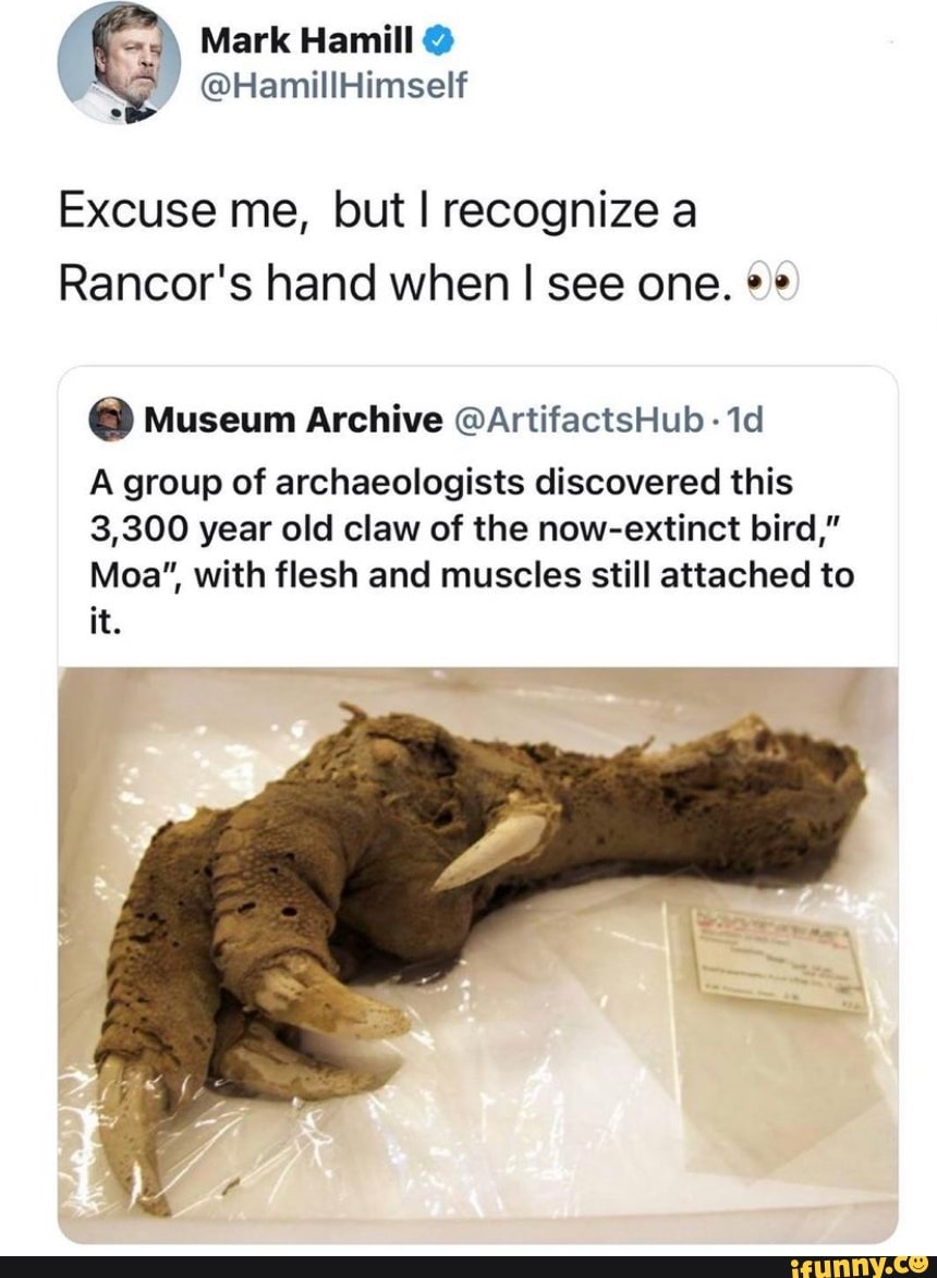 Excuse me, but I recognize a Rancor's hand when I see one. @ Museum ...