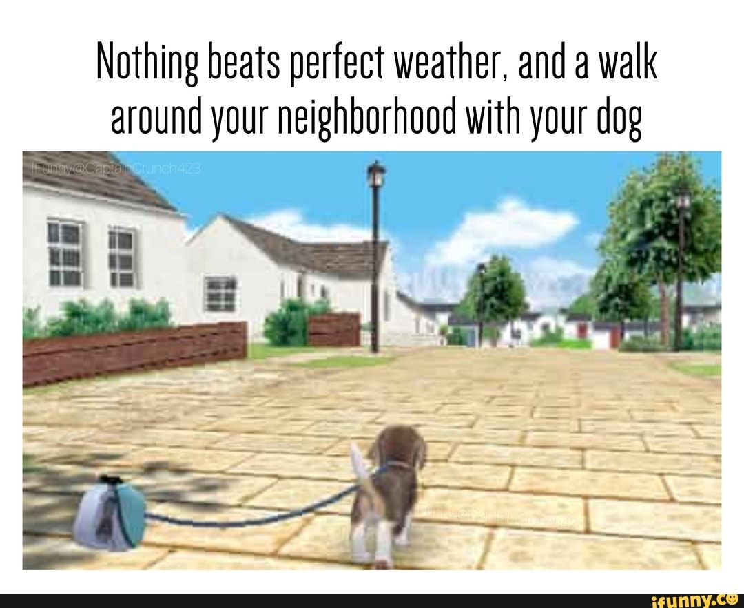 Nintendogs Memes