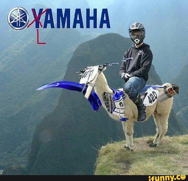 Lamaha memes. Best Collection of funny Lamaha pictures on iFunny