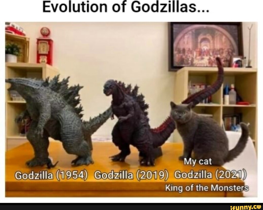 Evolution of Godzillas... My cat Godzilla Cadzilla 'Godzilla King of ...