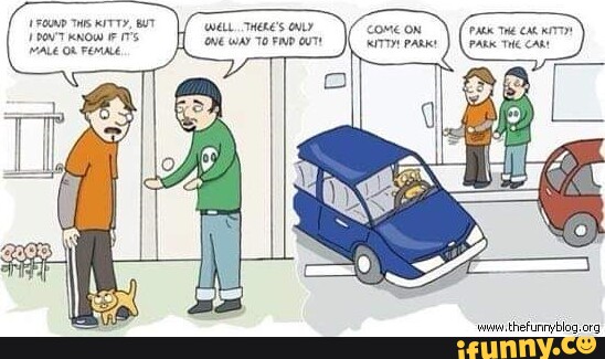 Cag memes. Best Collection of funny Cag pictures on iFunny