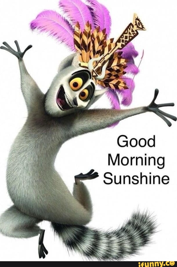 Sunshine memes. Best Collection of funny Sunshine pictures on iFunny