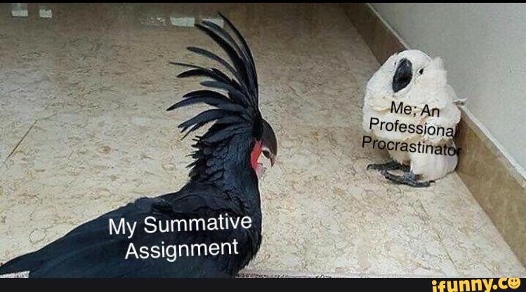 Summative memes. Best Collection of funny Summative pictures on iFunny