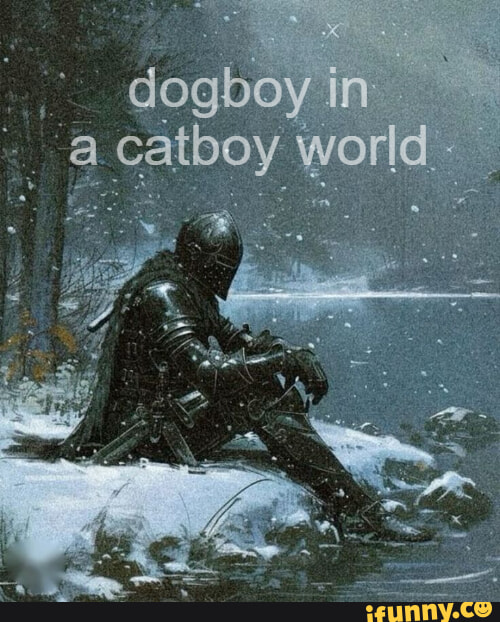 Catboy memes. Best Collection of funny Catboy pictures on iFunny