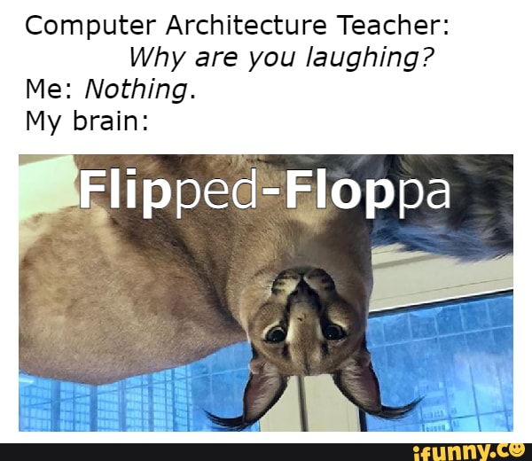 Computer Architecture Teacher: Why are you laughing? Flipped-Floppa Me ...
