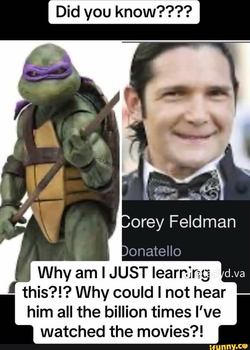 Donatello memes. Best Collection of funny Donatello pictures on iFunny