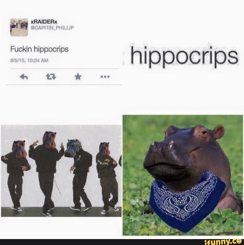 Hippocrips memes. Best Collection of funny Hippocrips pictures on iFunny