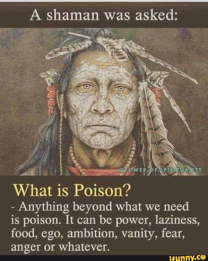 A shaman was asked: What is Poison'? - Anything beyond what we need is ...