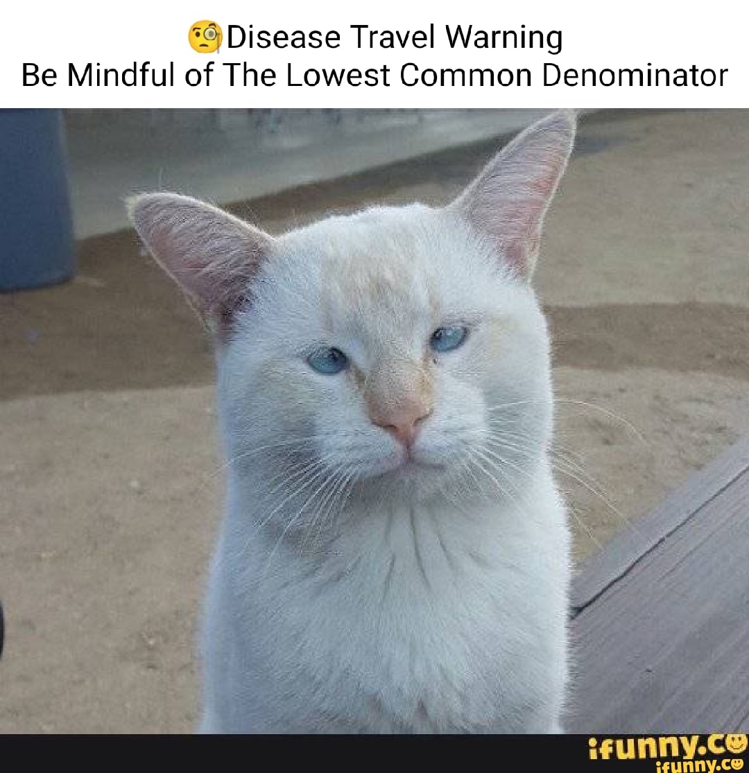 Disease Travel Warning Be Mindful of The Lowest Common Denominator - iFunny